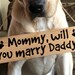 Wooden Dog Engagement Sign, Proposal Sign, Handmade Personalized Dog ...