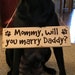Wooden Dog Engagement Sign, Proposal Sign, Handmade Personalized Dog ...