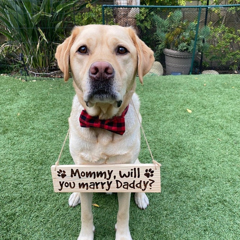 Wooden Dog Engagement Sign Proposal Sign Handmade | Etsy