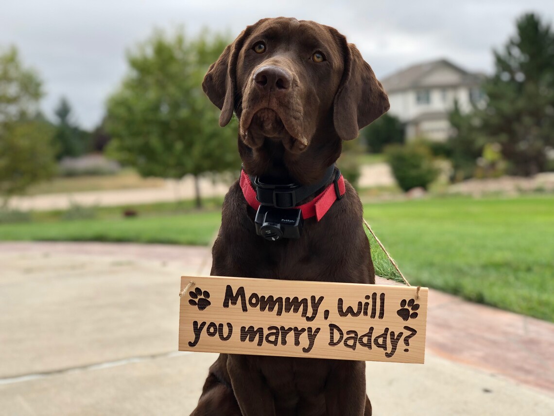 Wooden Dog Engagement Sign Proposal Sign Handmade | Etsy