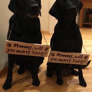 Wooden Dog Engagement Sign, Proposal Sign, Handmade Personalized Dog ...