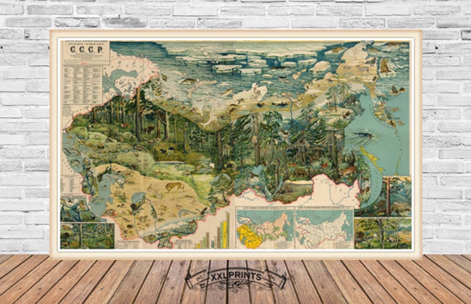 Old Map of Soviet Union Pictorial Zoogeographic, 1928, Fine ...