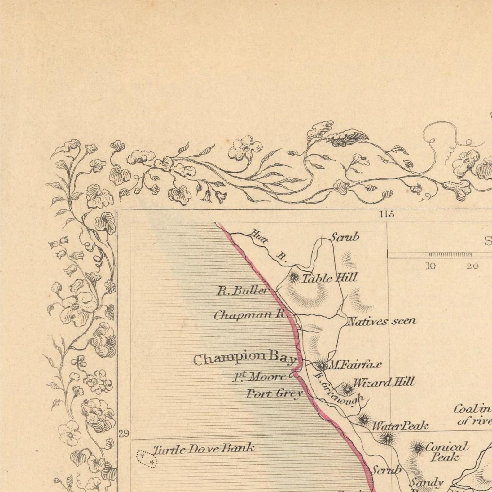 Old Map of Western Australia Swan River 1851 Antique Map | Etsy