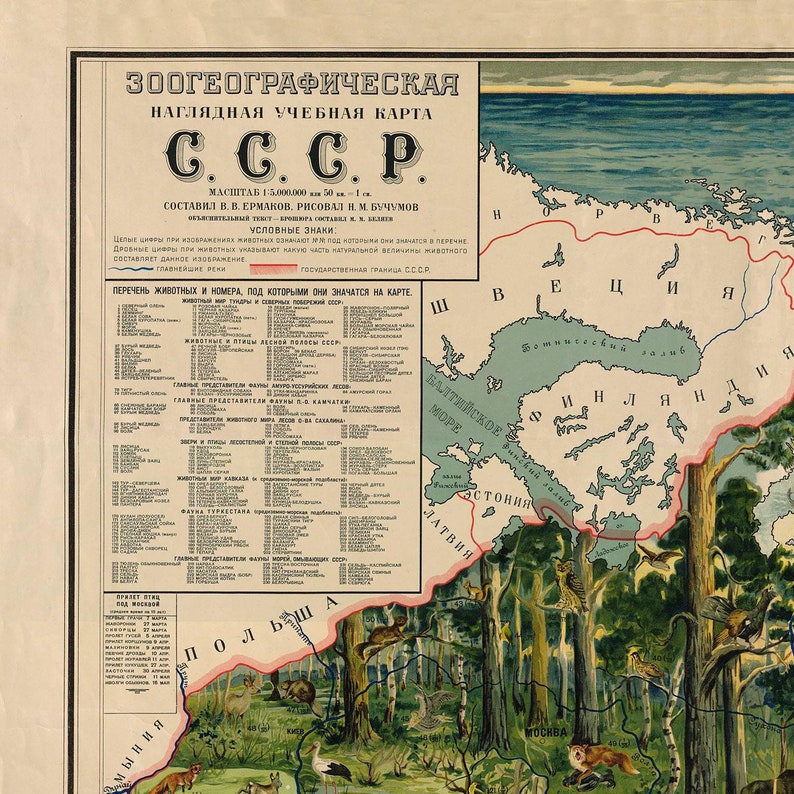 Antique Soviet Union Print: 1928 Pictorial Zoogeographic Map - Etsy