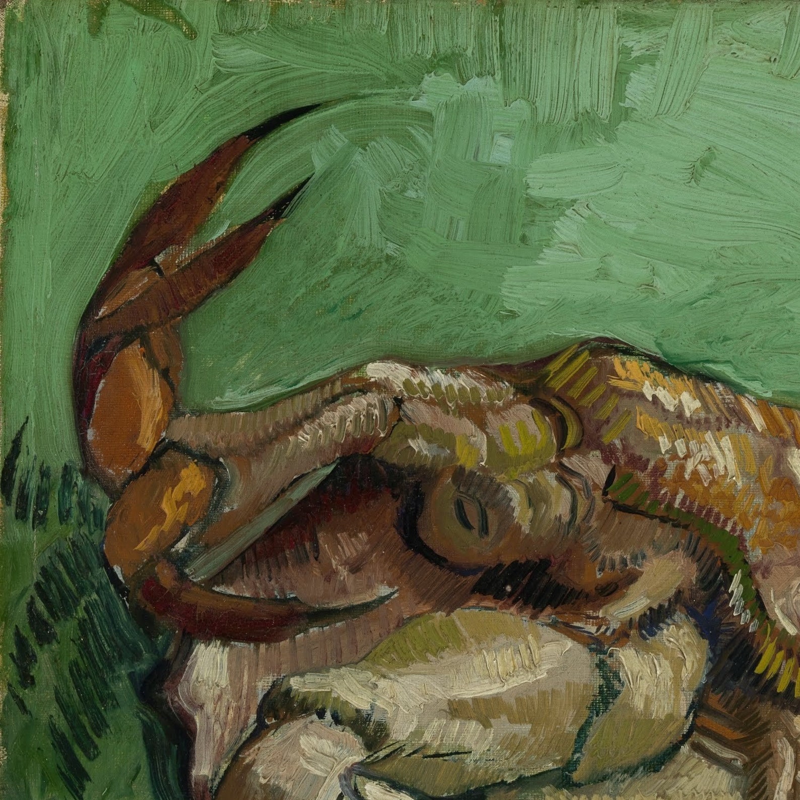 Vincent Van Gogh, A Crab on Its Back, 1888, Fine Reproduction, Fine Art ...
