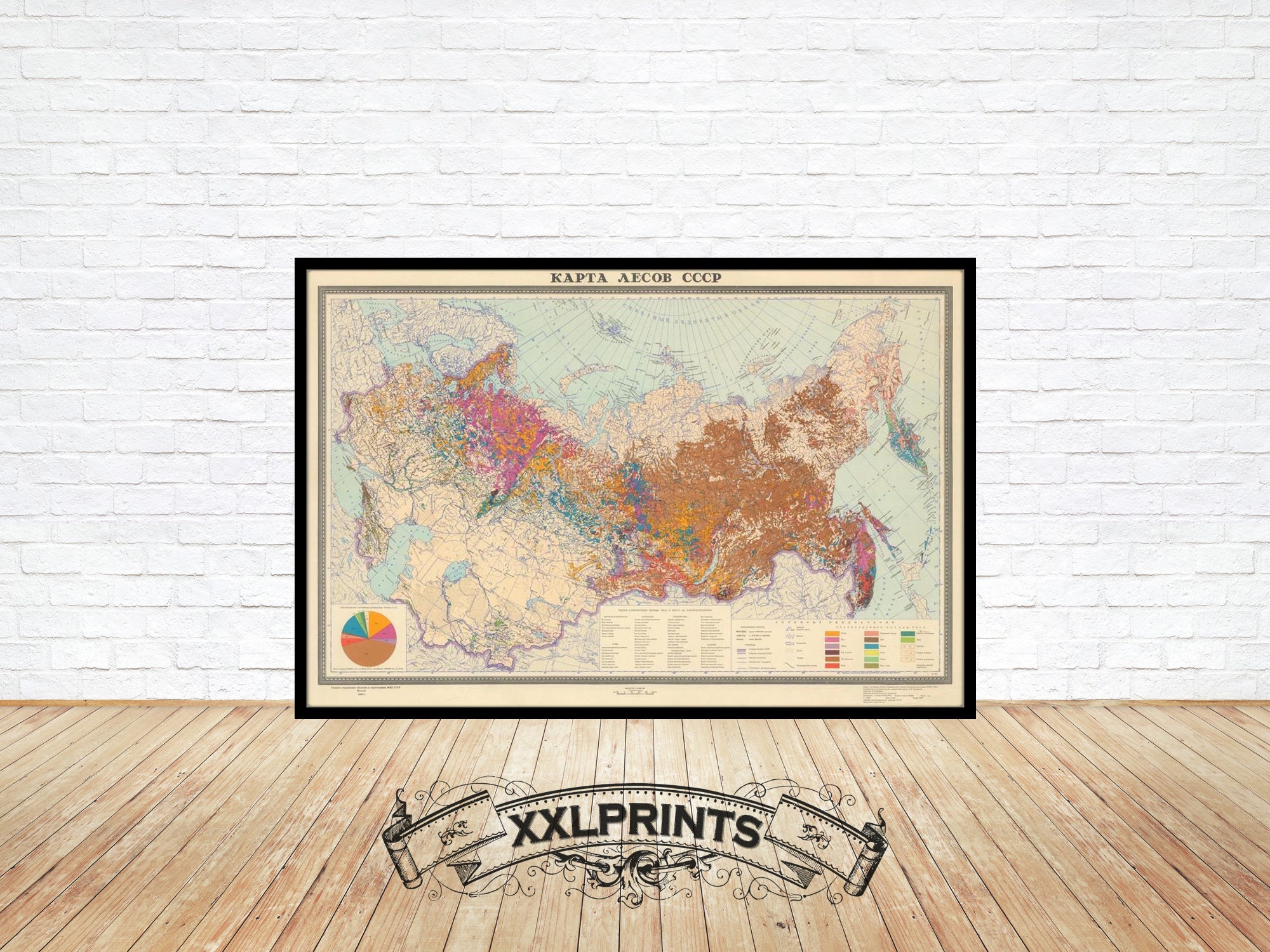 Old Map of Soviet Union,1957,tree Species Distributions in Cccp,soviet ...