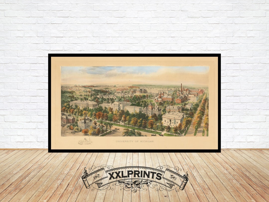 Michigan University Bird's Eye View Print: 1907 Vintage Fine ...