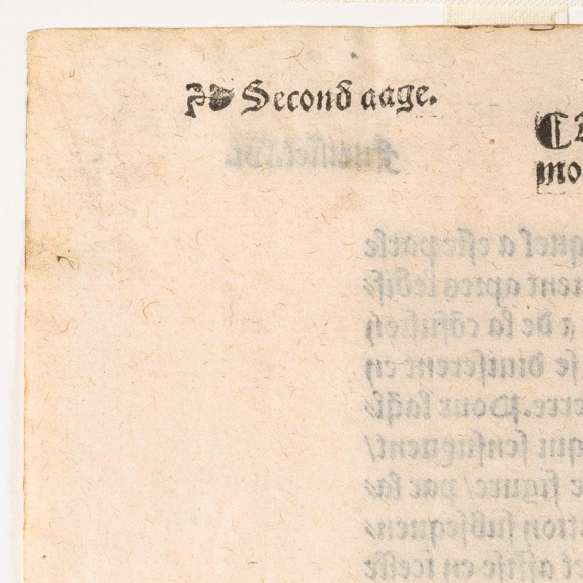 Ancient Map of the World 1491 Very Rare Map Fine - Etsy