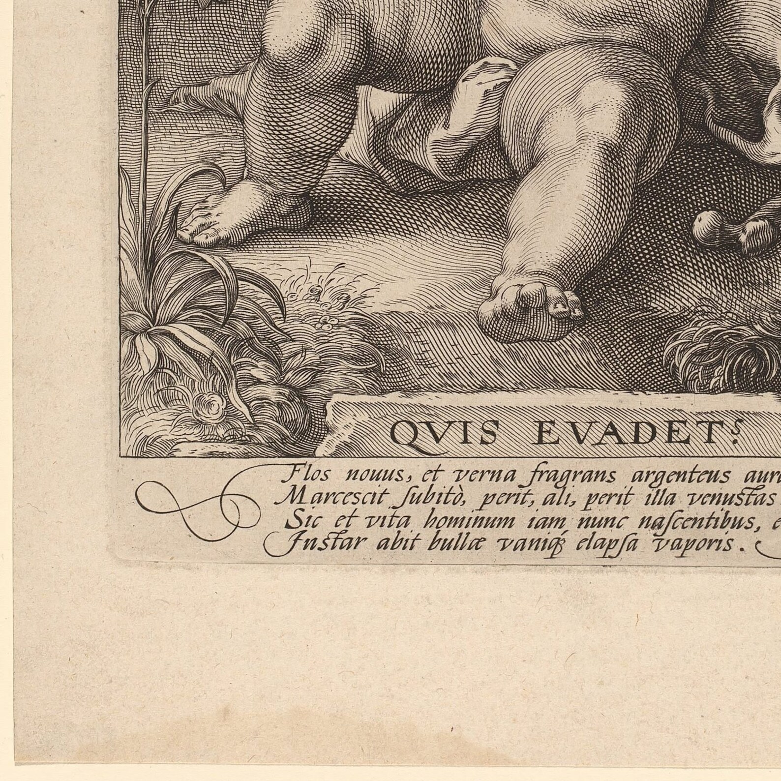 Hendrick Goltzius, Allegory of Transience (homo Bulla), 1594, Fine ...