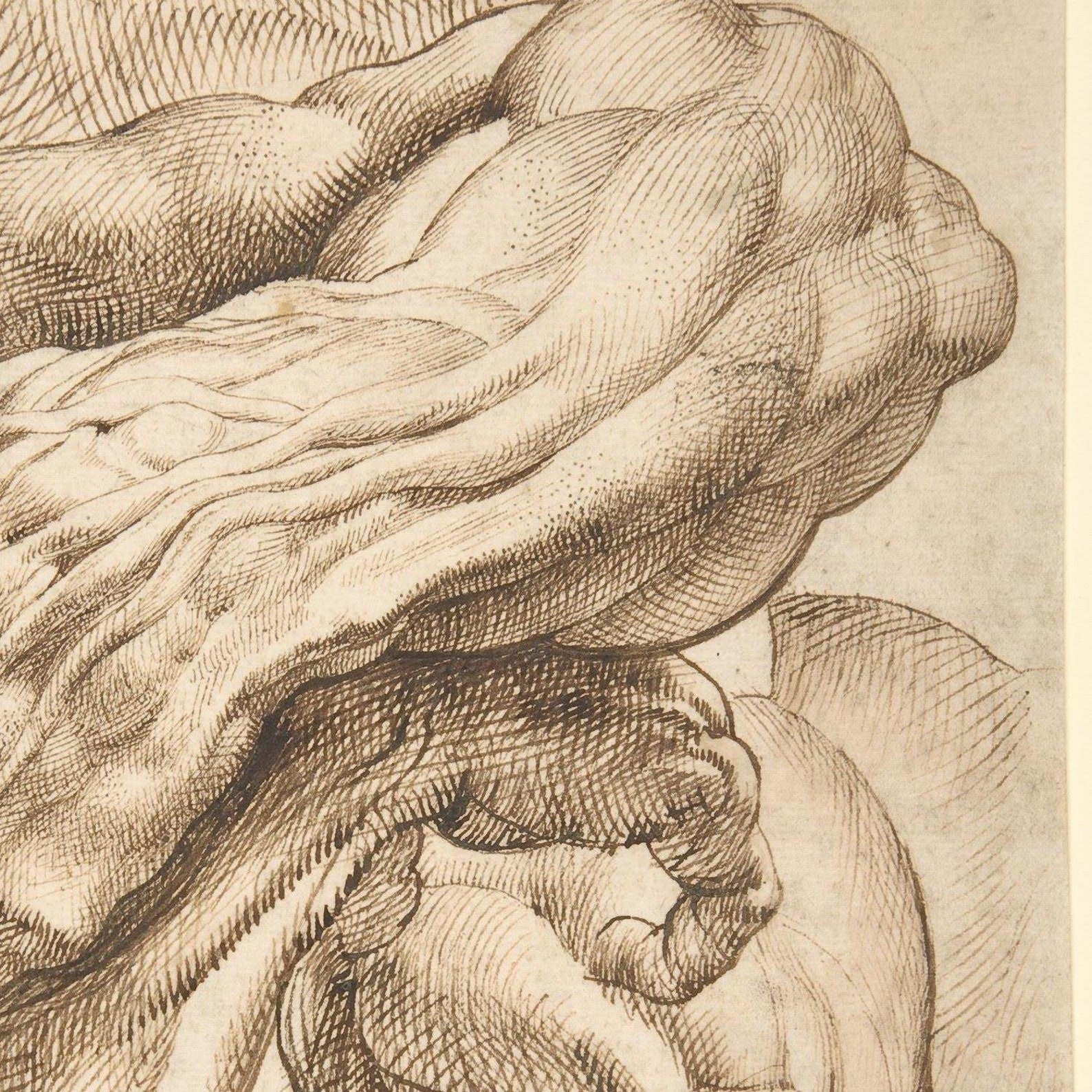 Peter Paul Rubens Anatomical Studies a Left Forearm in Two - Etsy