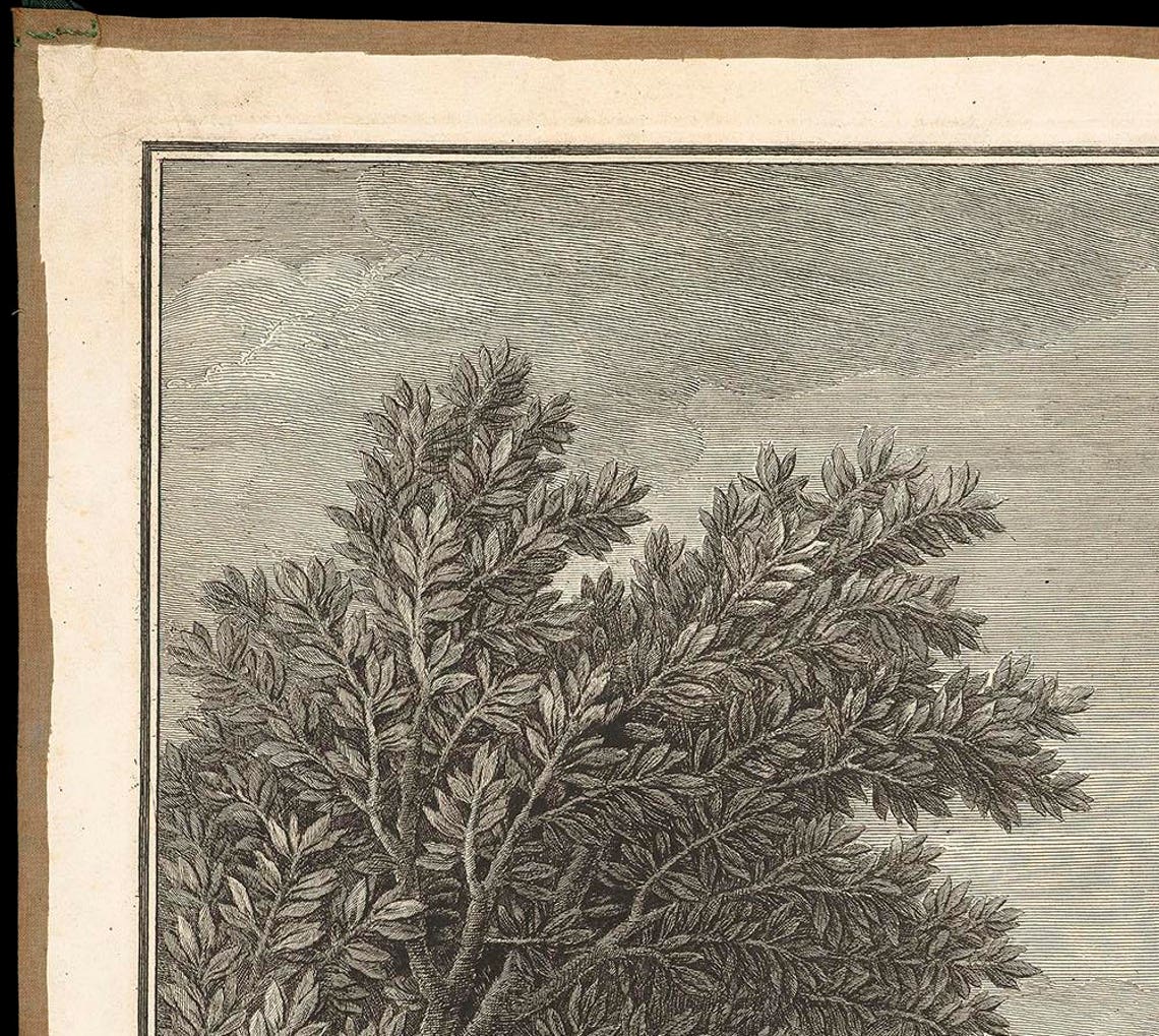 Ancient Lithography City of Rome Panoramic View Very Old - Etsy