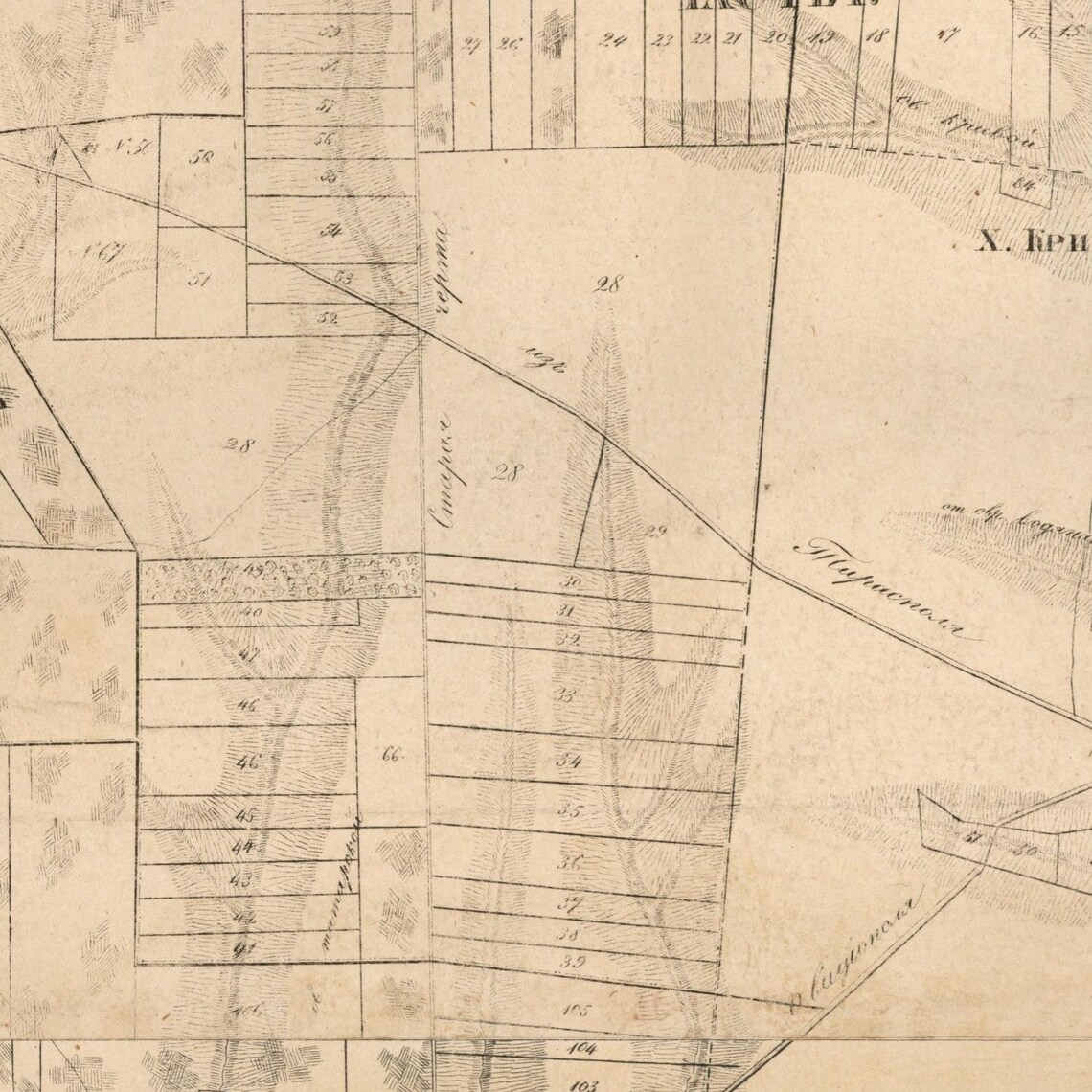 Old Map of Odessa, 1835, Very Rare Map, Antique Map, Fine Reproduction ...