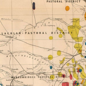 Old map of gold fields of New South Wales 1876 very rare | Etsy