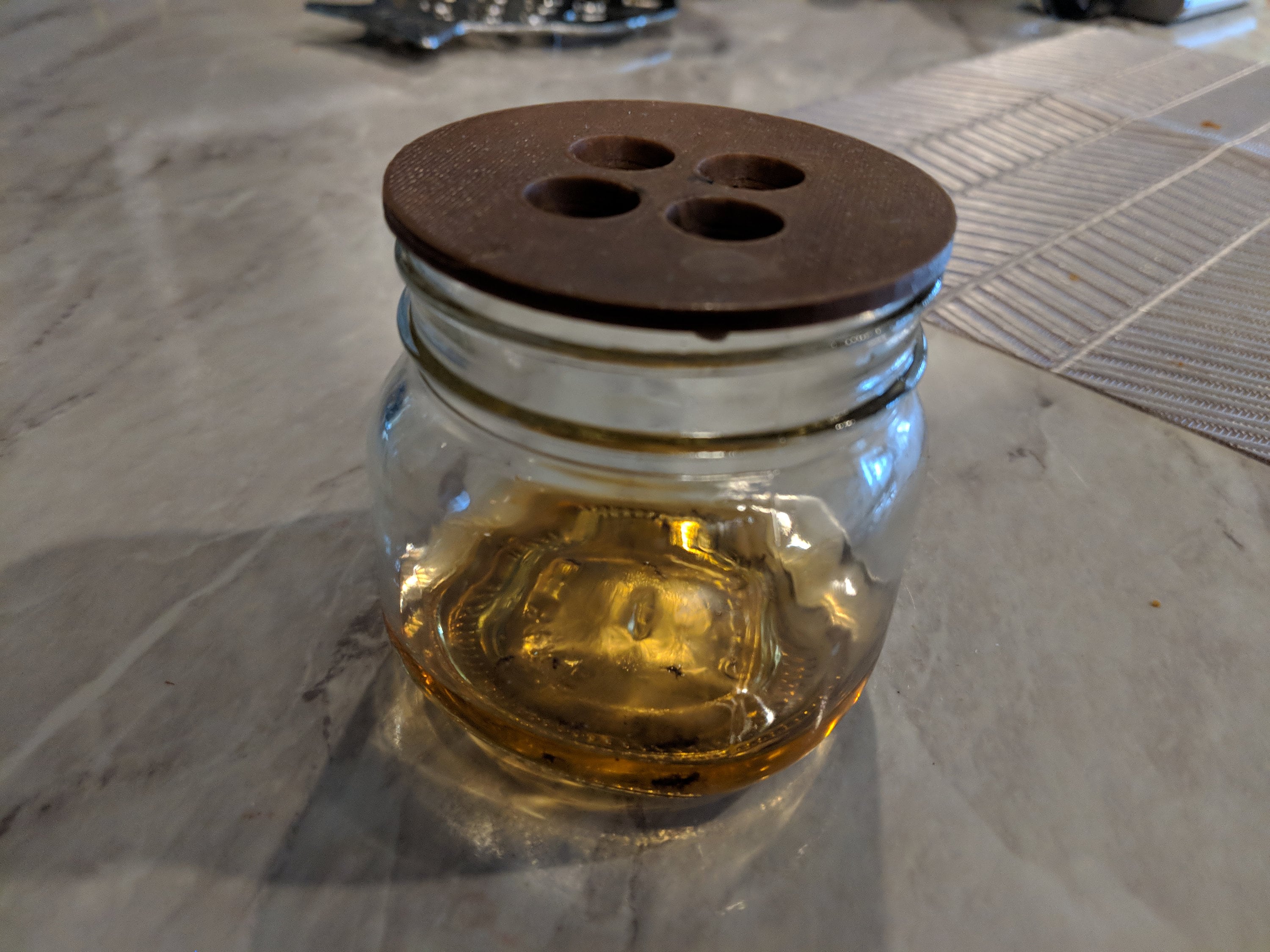 4 3D Printed Fruit Fly Traps - Etsy