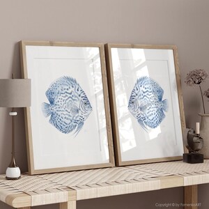 Discus Fish Wall Art Prints Coastal Nautical Beach House Decor ...