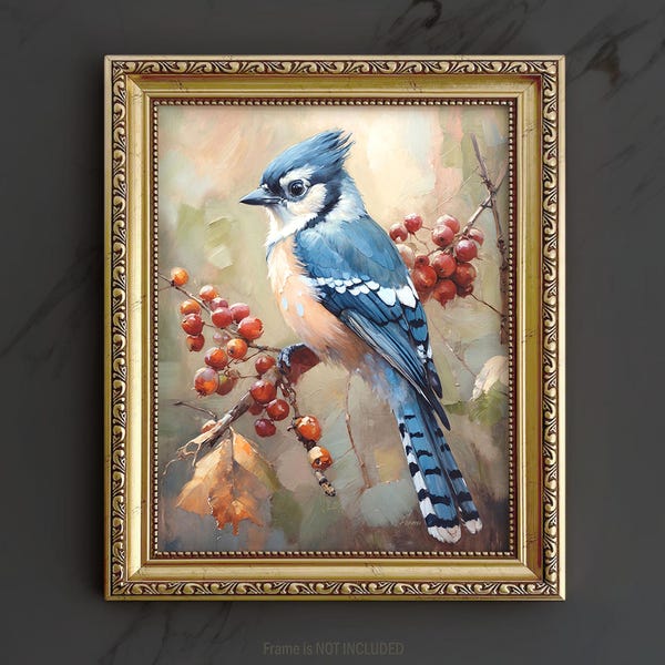 Blue Jay Art - Etsy