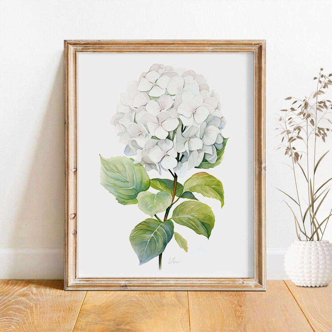Watercolor Boho Hydrangea Large Artwork on Canvas, White Flower ...
