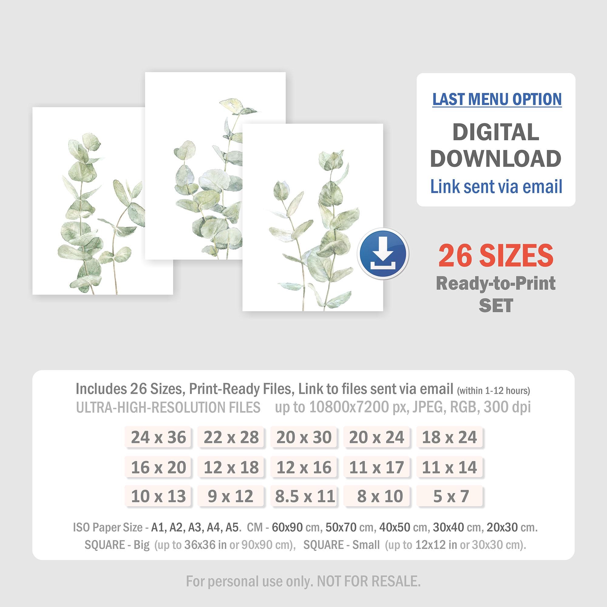 Eucalyptus Prints Bathroom Wall Decor Farmhouse Botanical Poster Set of ...