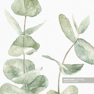 Eucalyptus Prints Bathroom Wall Decor Farmhouse Botanical Poster Set of ...