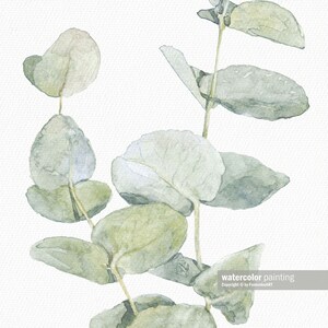 Eucalyptus Prints Bathroom Wall Decor Farmhouse Botanical Poster Set of ...