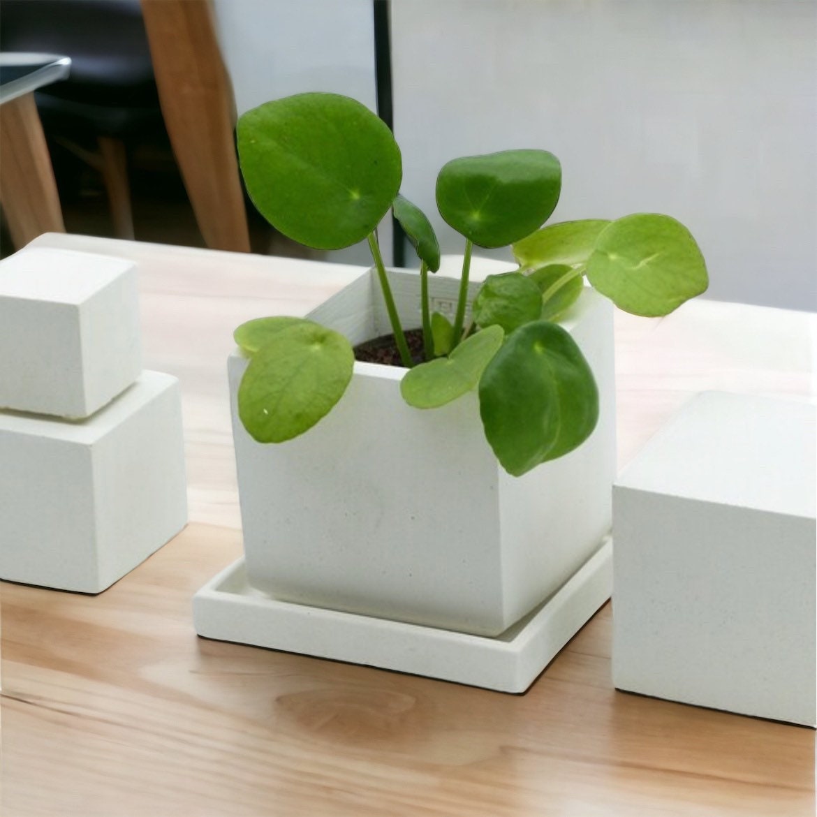 Atelier Ideco Modern White Cube Concrete Planter Box With Draining ...