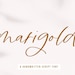 Marigold Font - Modern Handwritten Script, Wedding Font, Brush Font ...