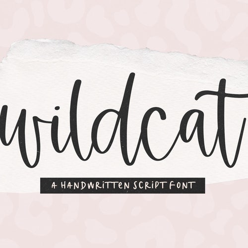 Shaley Font Handwritten Script Font Cricut Fonts Cursive Etsy