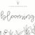 Truly Magical Font Handwritten Script Font, Cricut Fonts, Procreate ...