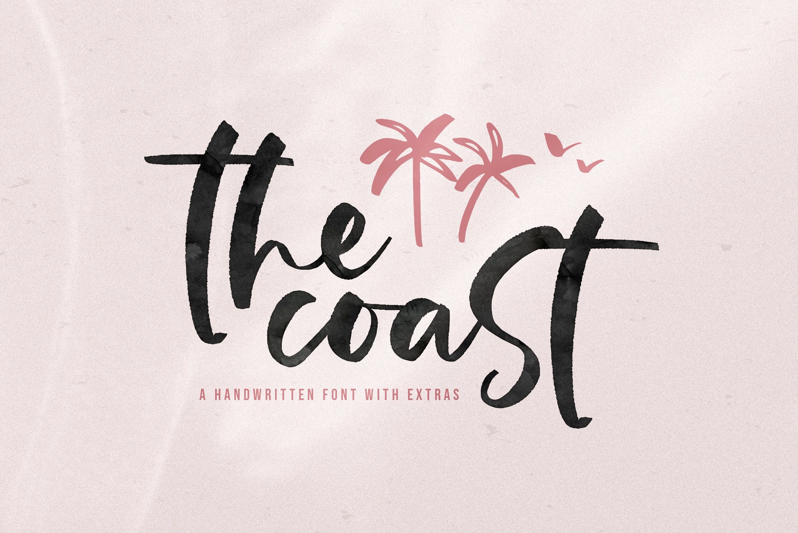 The Coast Font - Bold Handwritten Script Font - With Extra Doodle Font ...