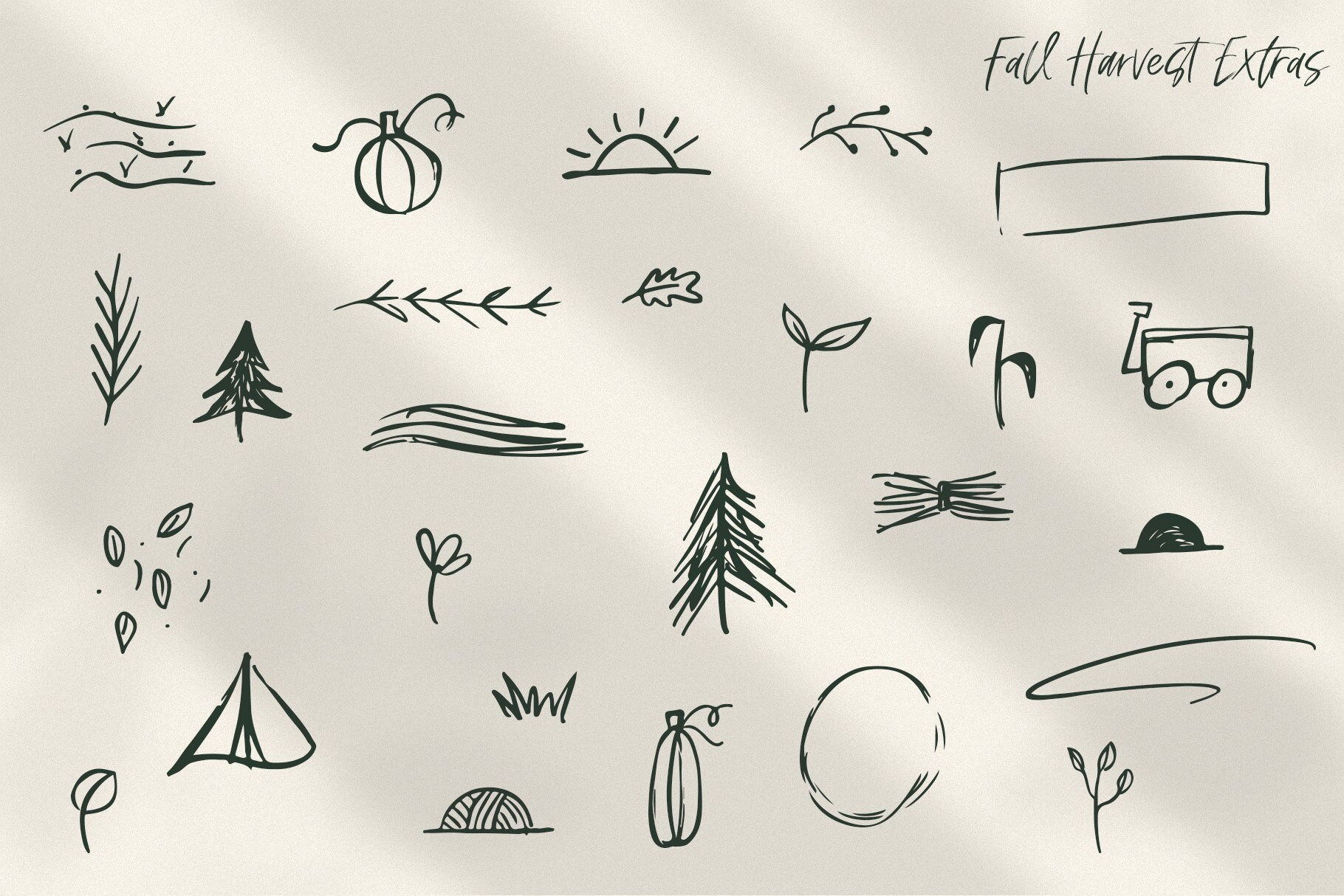 Fall Harvest Font A Handwritten Brush Font With Doodles | Etsy