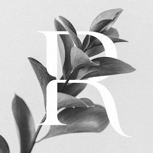 Lango Font Serif Font, Modern Font, Stylish Font, Classy Fonts ...