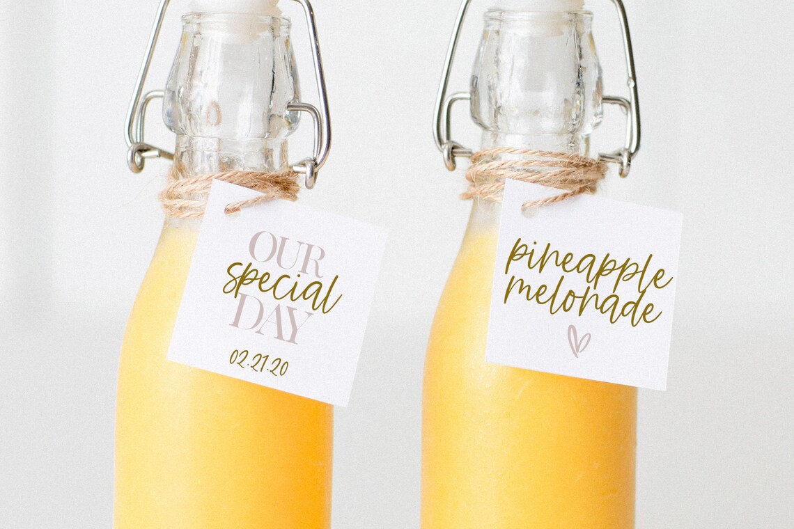 Ambition Font - Handwritten Script Font, Cricut Font, Modern ...