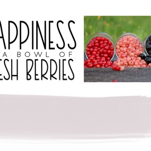 Very Berry Smoothie - Tall and Capital Font - TTF - Etsy