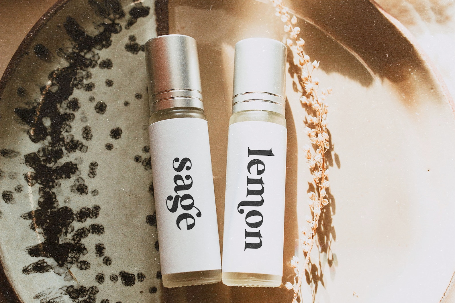 Wild Mango Font Serif Font, Modern Font, Boho Font, Branding Font ...