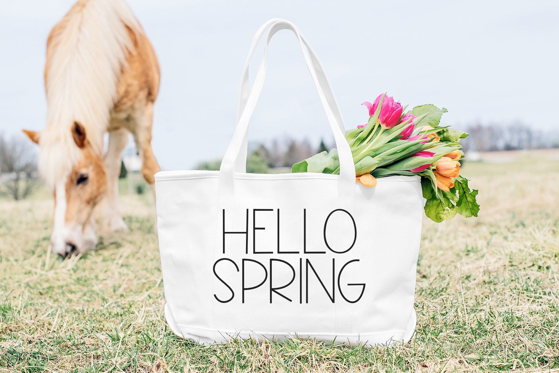 Pink Pear Font Fun Handwritten Font Cricut Fonts Tall - Etsy