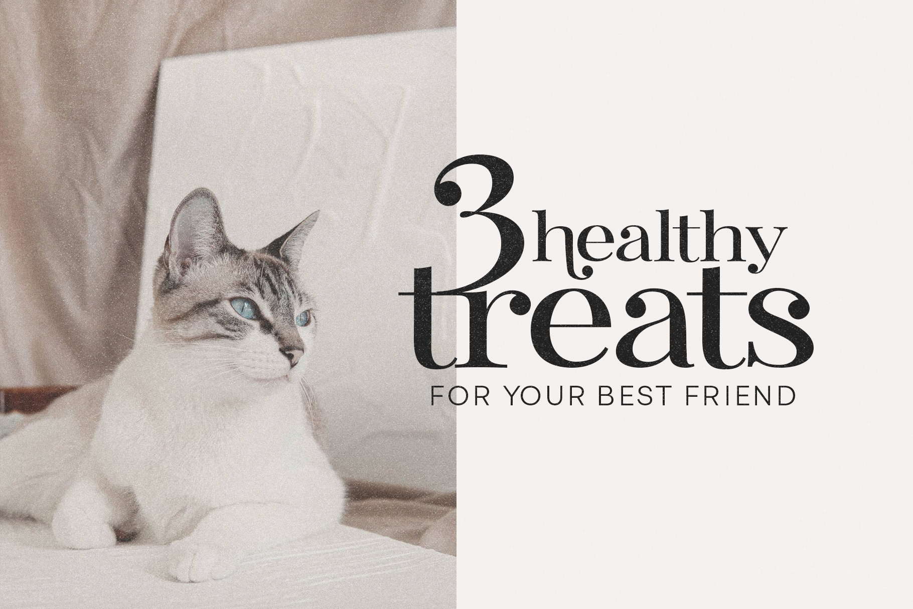 Magic Makers Font Serif Font Modern Font Boho Font - Etsy Australia