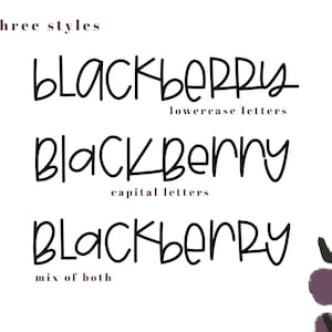 Blackberry Font - A Fun and Mismatched Font, Fonts for Cricut, Crafting ...