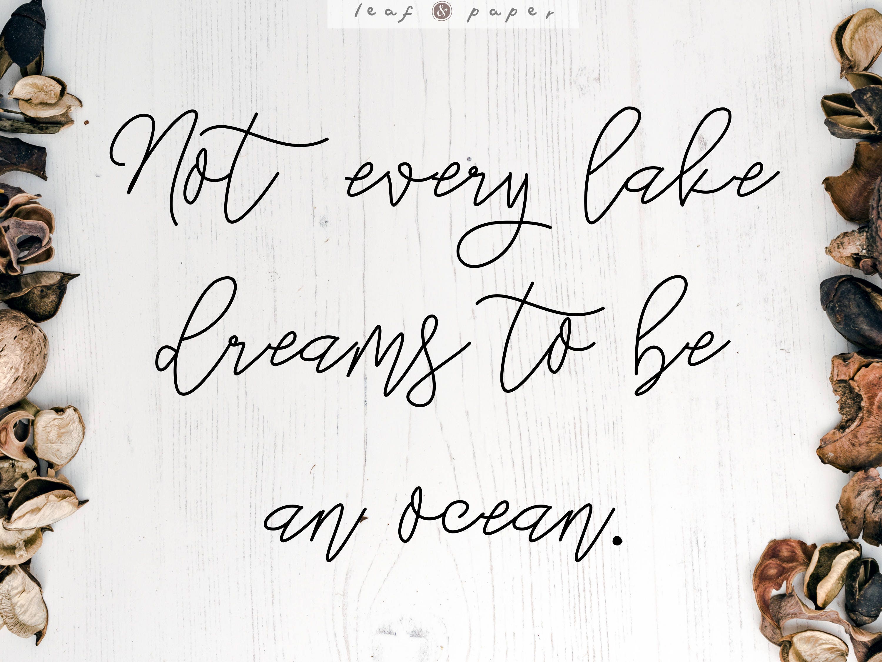 Lakehouse Font Unique Script Font TTF | Etsy