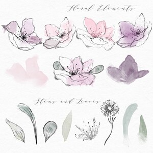 Watercolor Floral Clip Art - Delicate Elements for Design [francesca ...