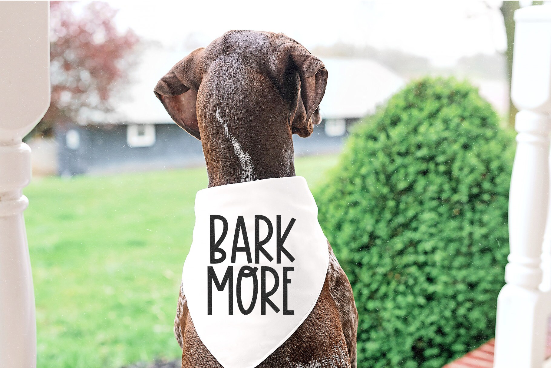 Roselyn Font Tall Handwritten Font Cricut Font Quirky - Etsy