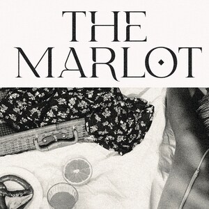 Lango Font Serif Font, Modern Font, Stylish Font, Classy Fonts ...