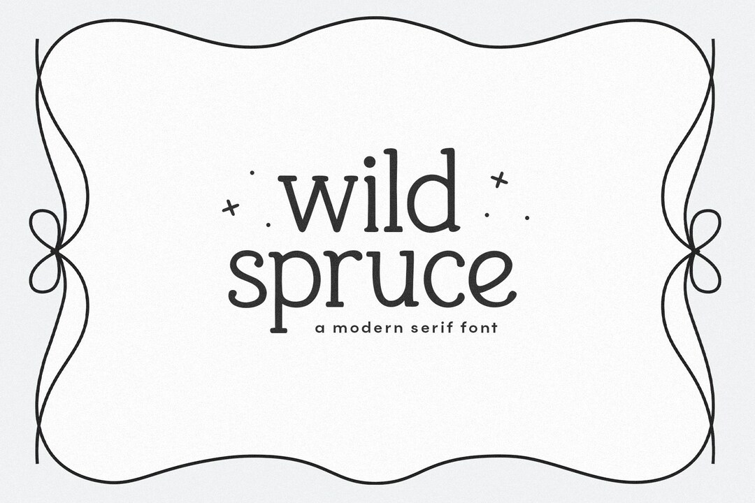 Wild Spruce - Modern Serif Font, Farmhouse Font, Cricut Fonts, Serif ...