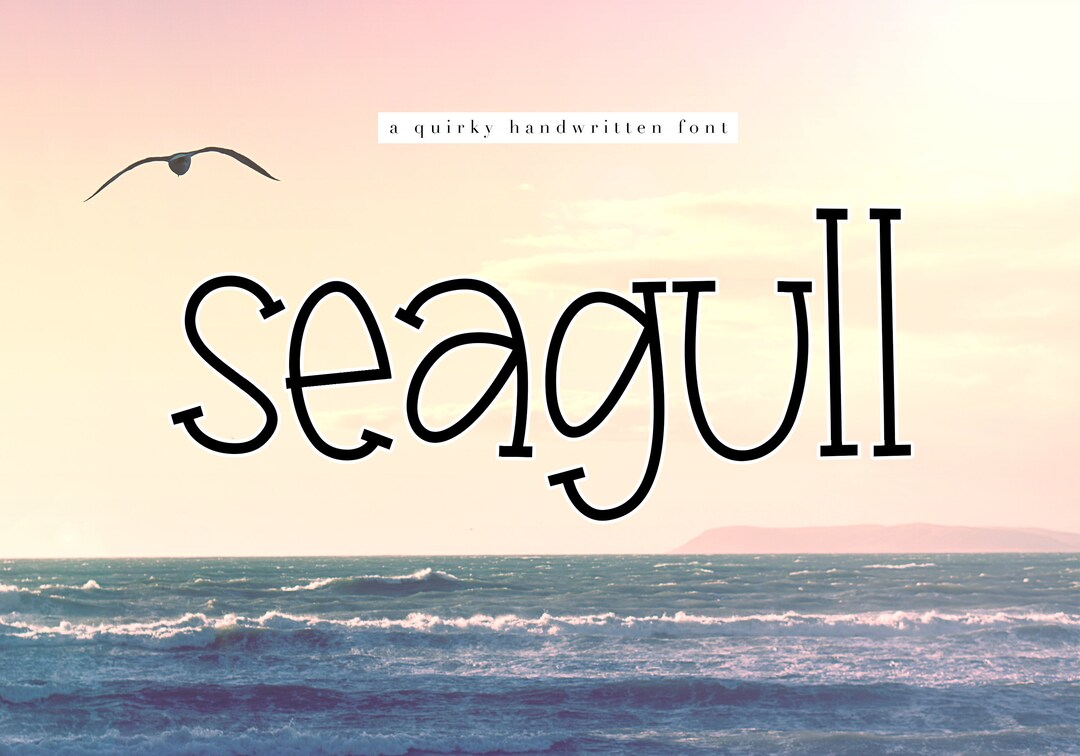 Seagull - A Handwritten Font - TTF / OTF - Etsy