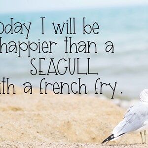 Seagull - A Handwritten Font - TTF / OTF - Etsy
