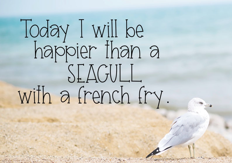 Seagull A Handwritten Font TTF / OTF - Etsy