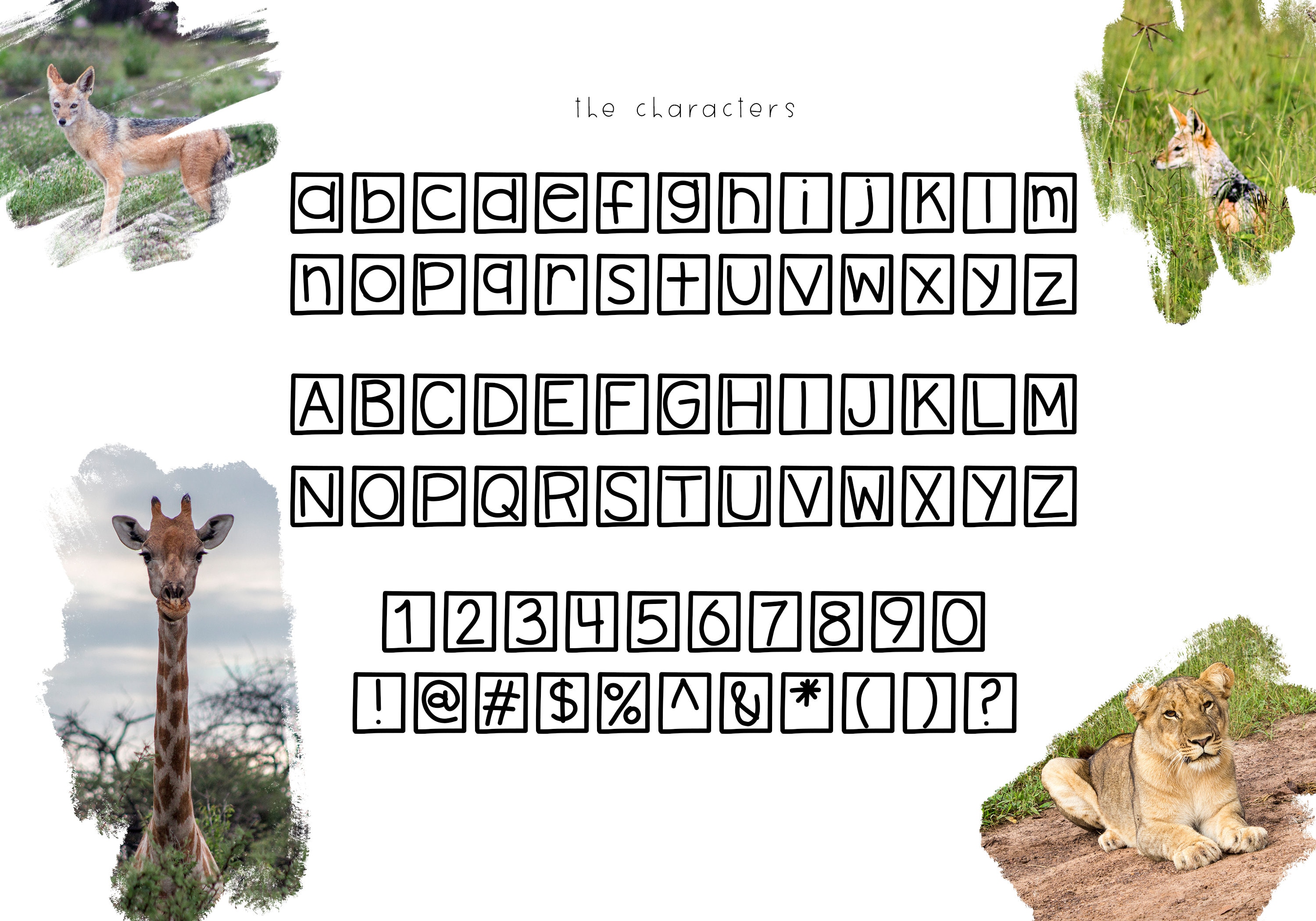 Safari Fun Handwritten Font TTF / OTF - Etsy