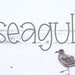 Seagull A Handwritten Font TTF / OTF - Etsy