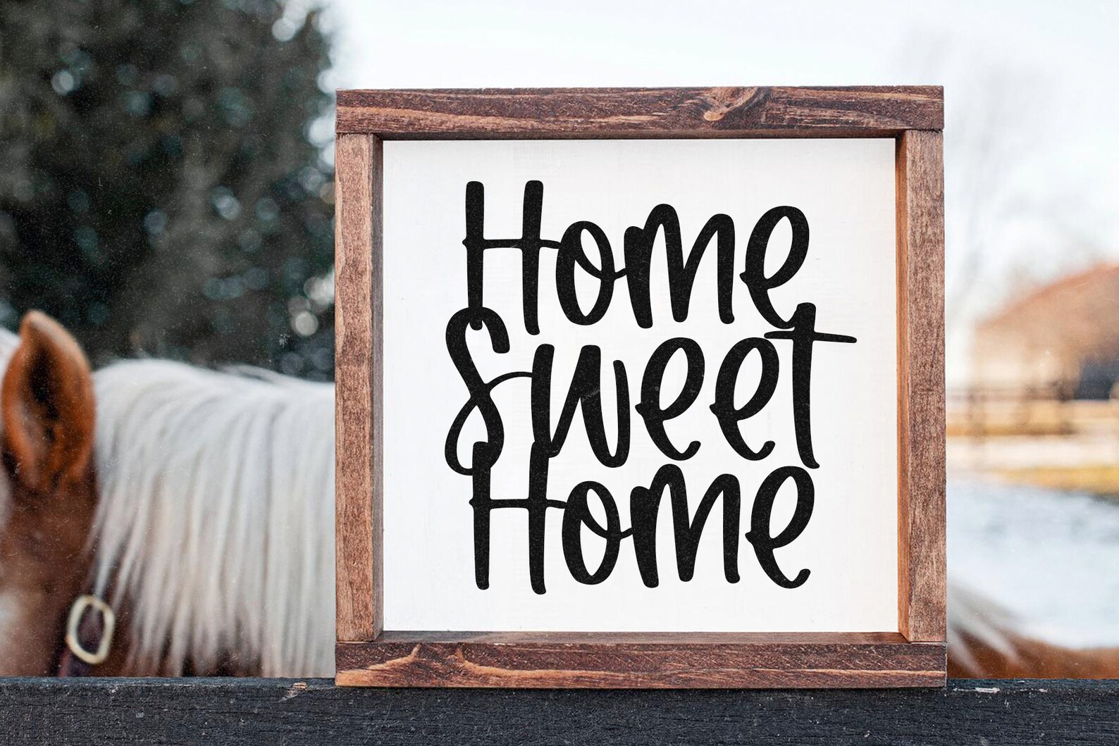 Haystacked Font Farmhouse Script Font Cricut Fonts - Etsy