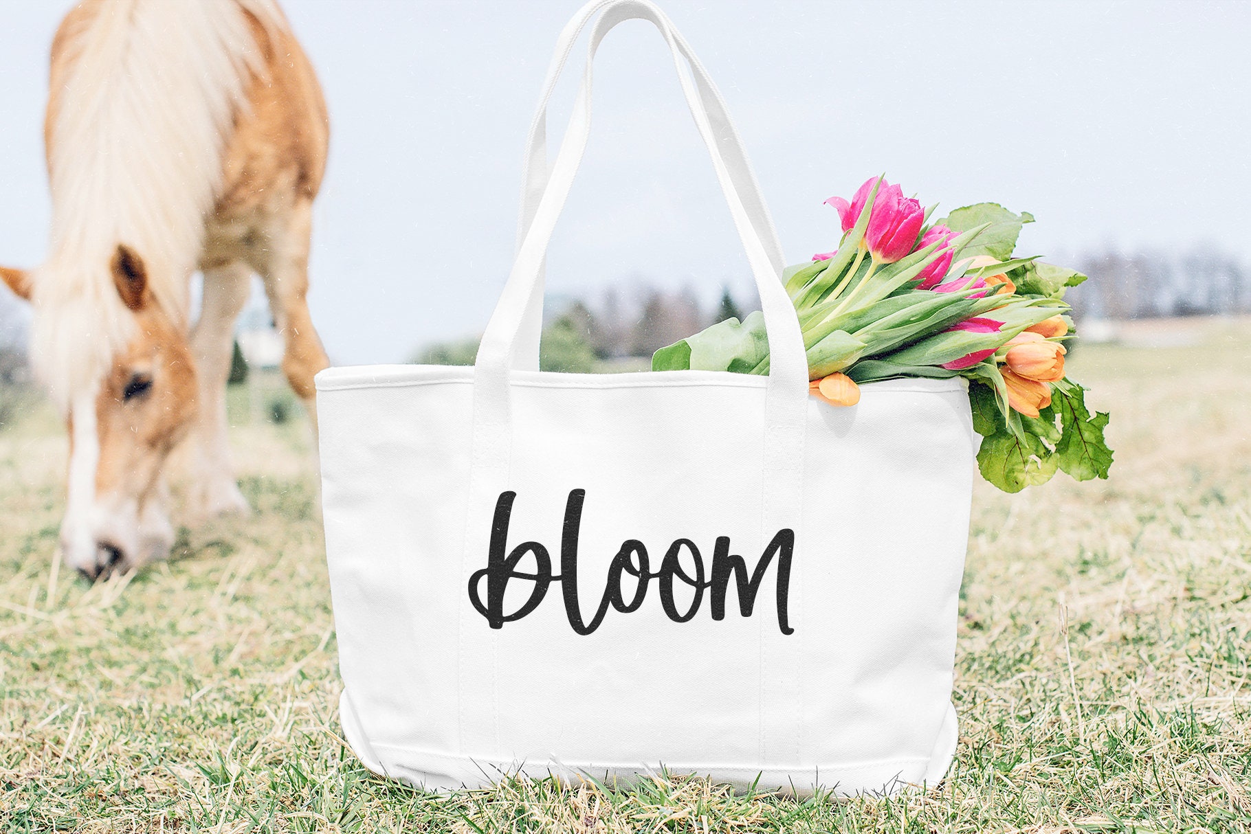 Shaley Font Handwritten Script Font Cricut Fonts Cursive Etsy