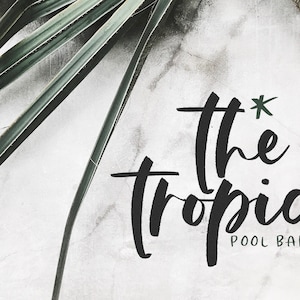 The Coast Font - Bold Handwritten Script Font - With Extra Doodle Font ...